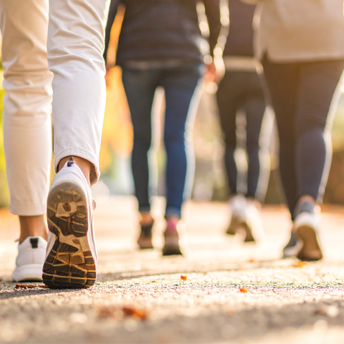 Walking Lesson | Emi Tanaka Official Website